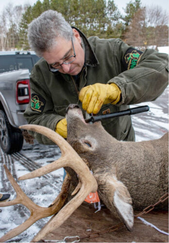 Tracking deer hunt: DNR offers ‘real time’ harvest count | News, Sports ...